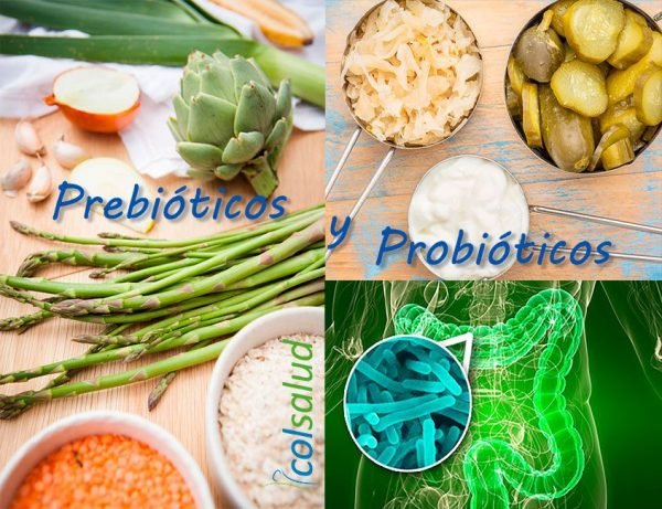 Probióticos y Prebióticos: ¿Cuál es la diferencia? - Colsalud